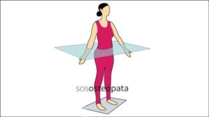 Assi e Piani del corpo umano | Dott. Alessandro la Torre SOS Osteopata ...